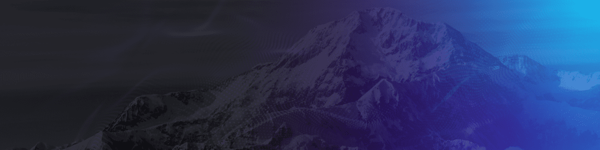 Denali Advanced Integration | Enterprise Technology Solutions